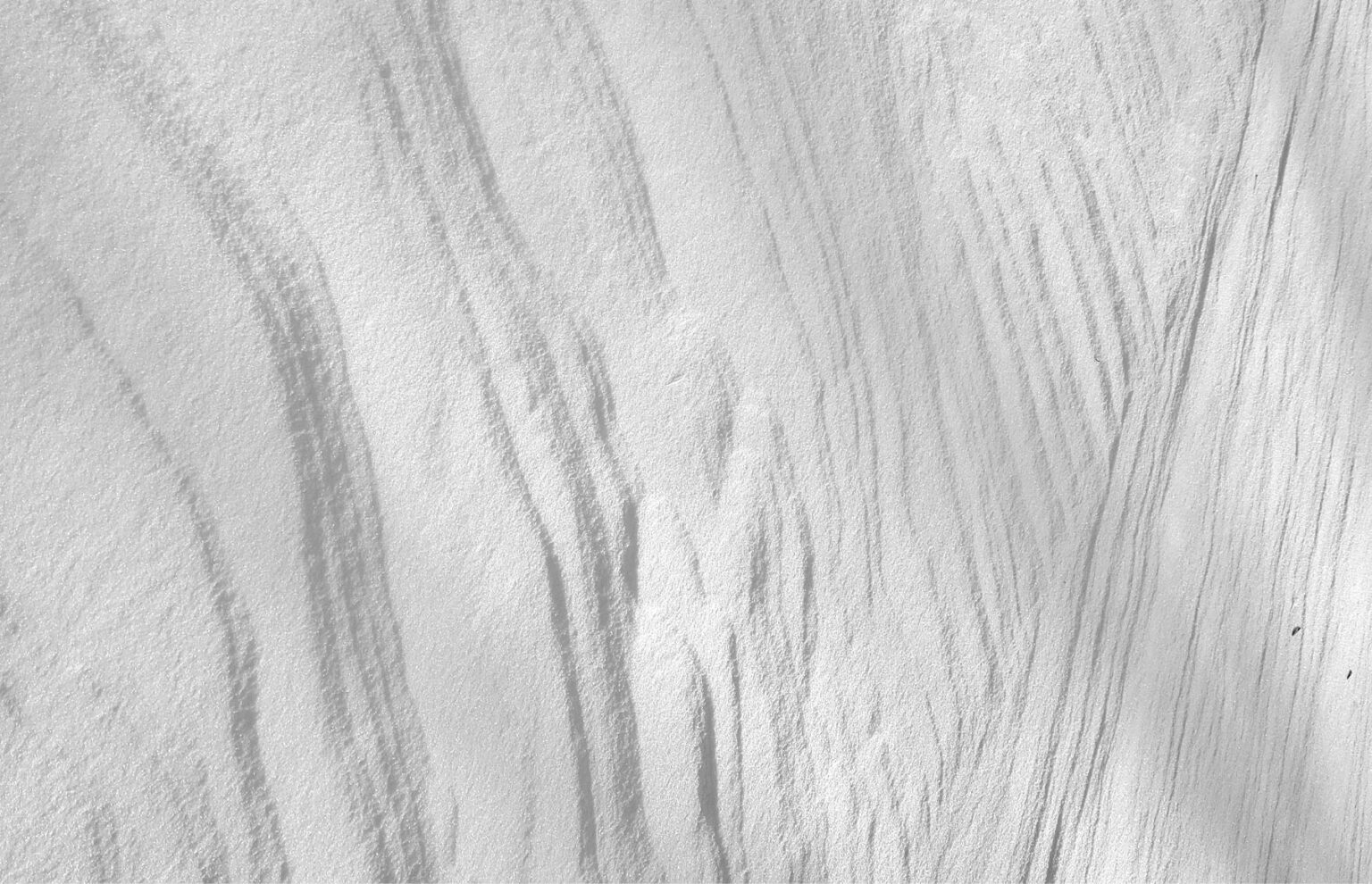 Polex - Leading Brand Distributor